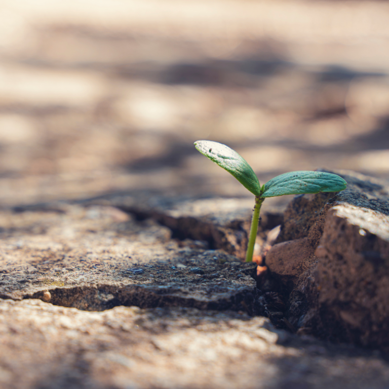 Cumulative Grief aka Grief Overload - What's Your Grief